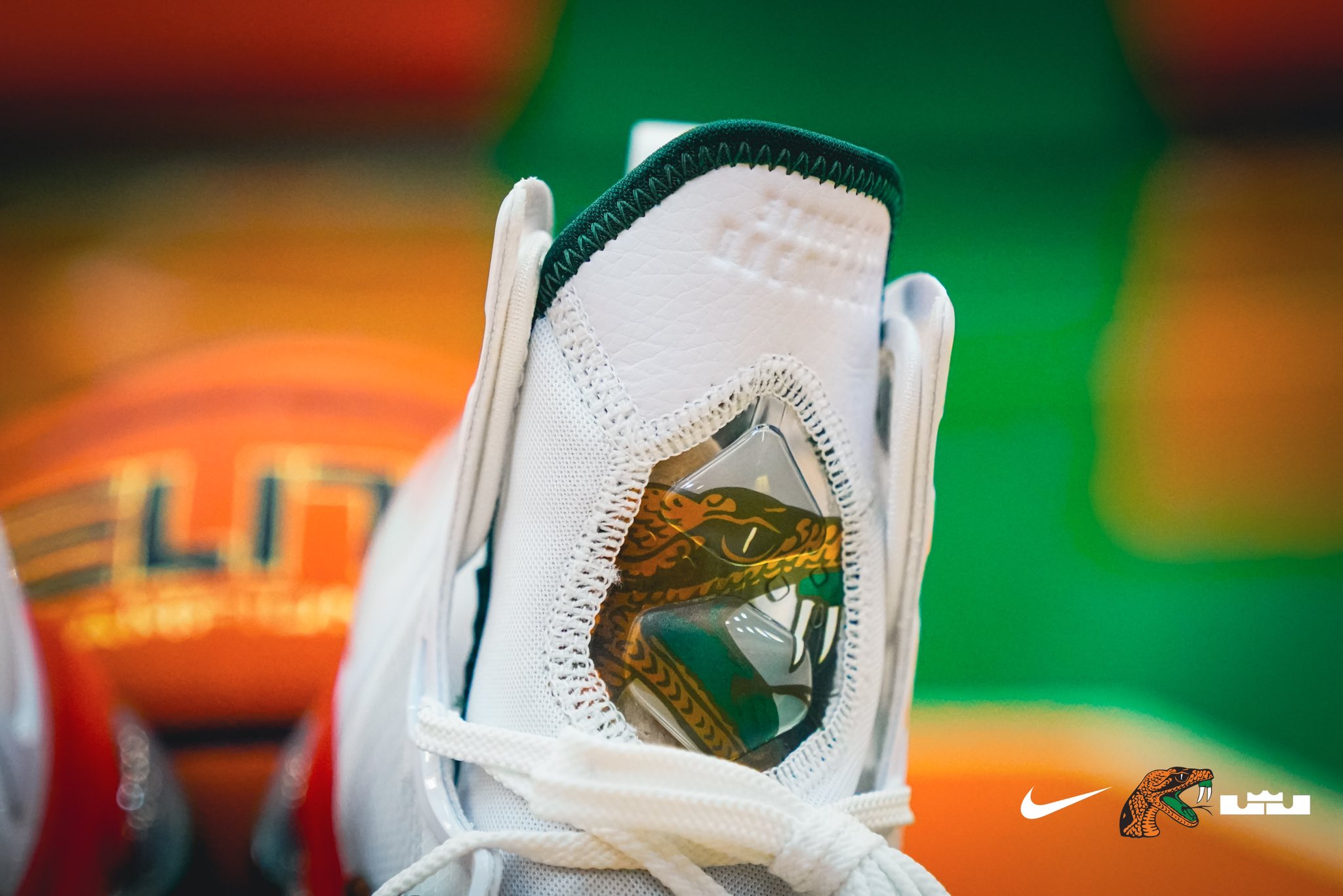 FAMU gets colorway with HBCU x Nike Dunk collaboration